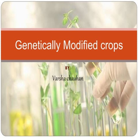 Major Genetically Modified Crops