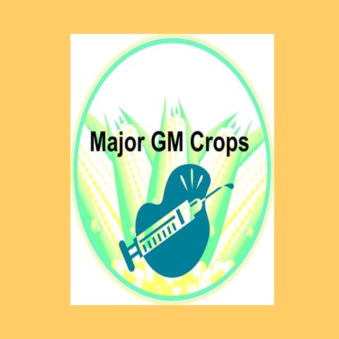 Major Genetically Modified Crops | PPT