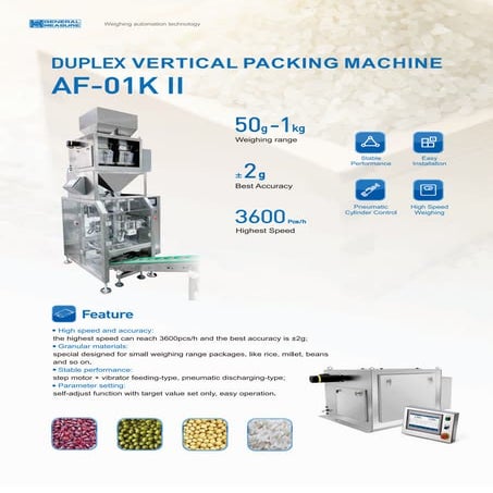 GM Duplex Vertical Packing Machine catalog | PDF
