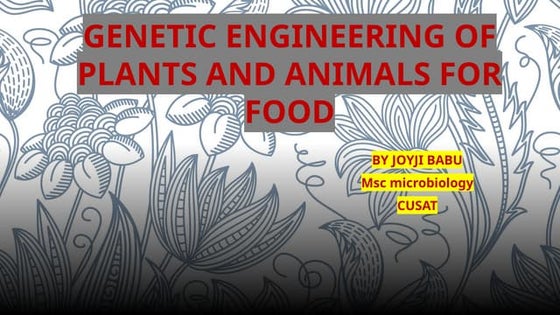Genetically modified organisms presentation | PPTX | Genetics | Science