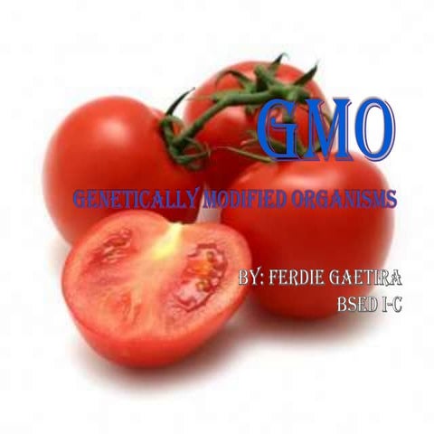 Benefits and Risks of GMOs plant reproduction | PPTX