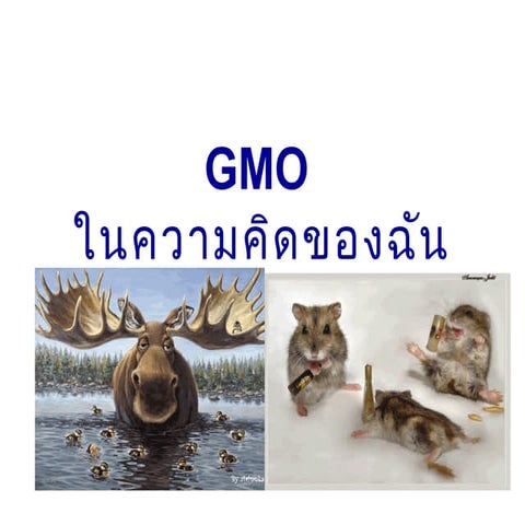 Gmo | PPT
