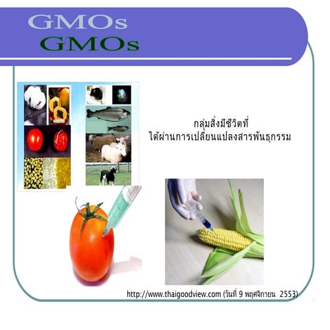 Gmo | PPT