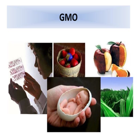 Gmo | PDF