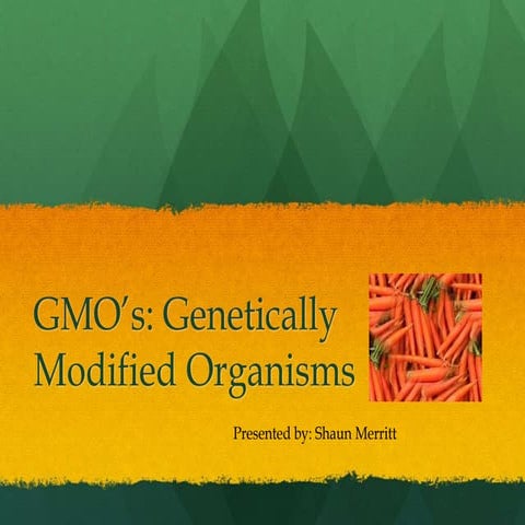 GMO's: Genetically Modified Organisms | PPTX