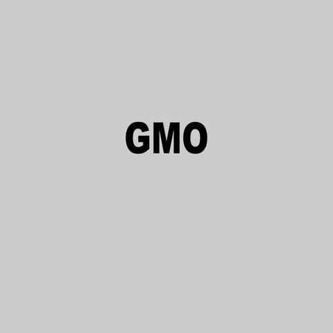 GMO_genetically modified organismxxxxxxxxxxxxxxxxxxxxxxxxxxxxxxxxxxxxxxxxxxx.ppt