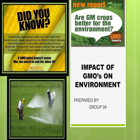 Gmo and environment | PPTX