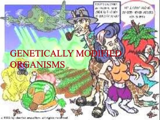 Genetically Modified Foods Ppt