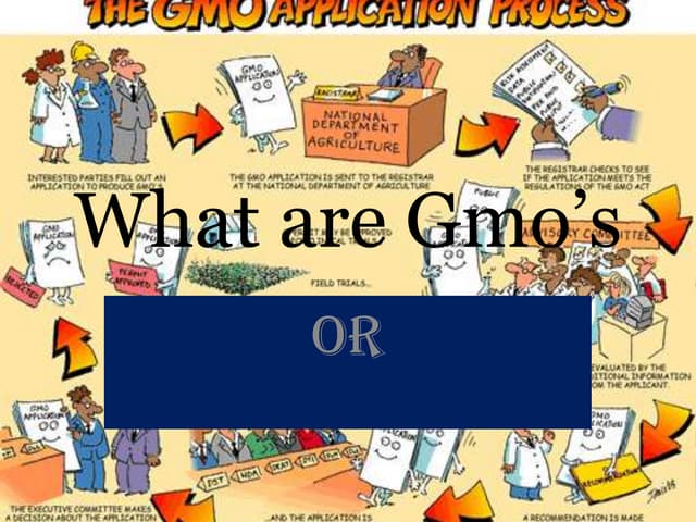 Genetically Modified Organism.ppt