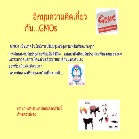 อีกมุมความคิดเกี่ยวกับ Gm os | PPT