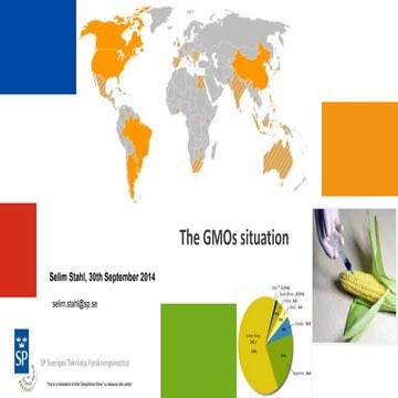 The GMO situation | PPTX