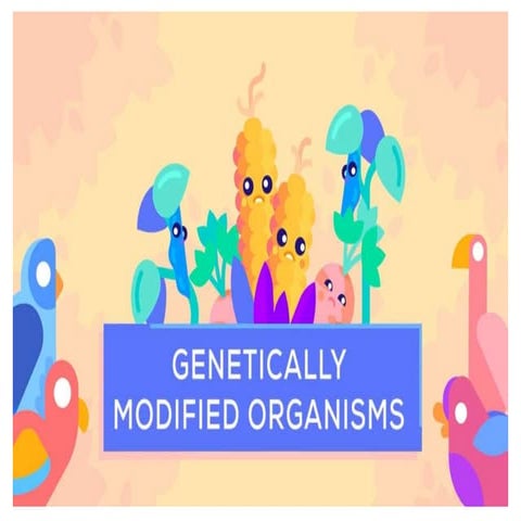 Gmos with animation gifs.pptx
