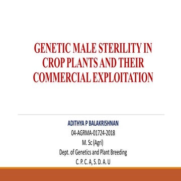GENETIC MALE STERILITY IN CROP PLANTS | PPTX