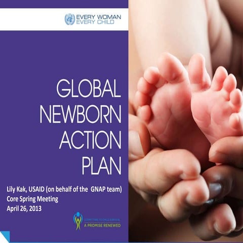 Global Newborn Action Plan_Lily Kak_4.26.13