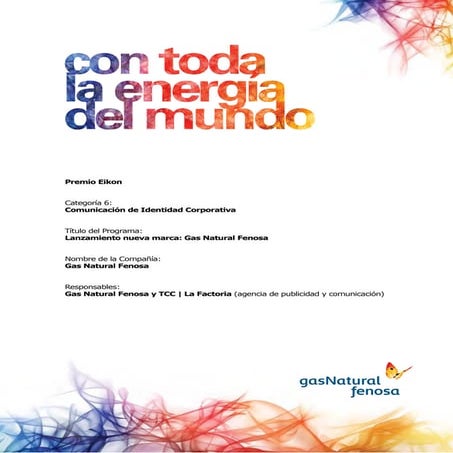 C6-Gas Natural FENOSA | PDF