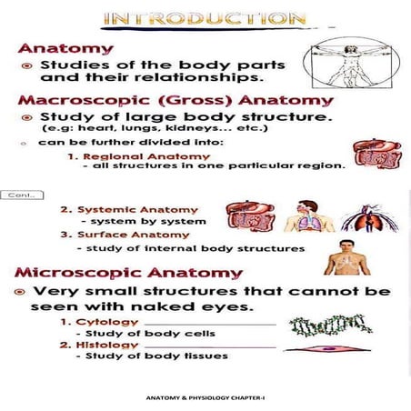 Gnm anatomy 1 | PDF