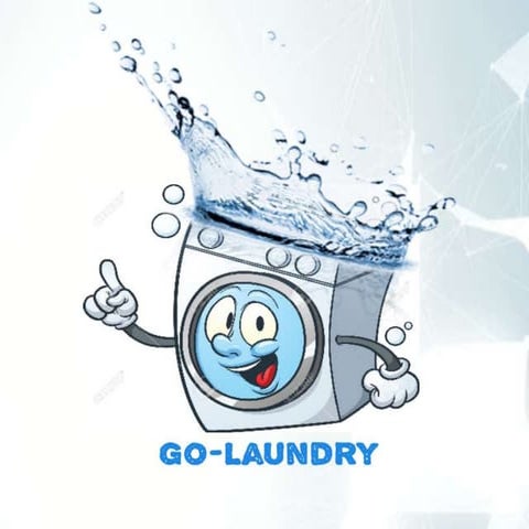Go laundry business plan | PPT