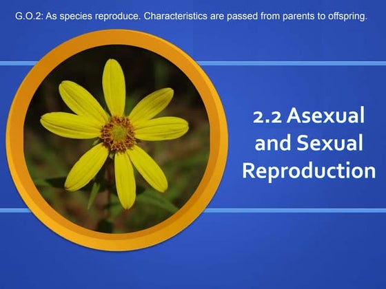 Animal Reproduction | PPT