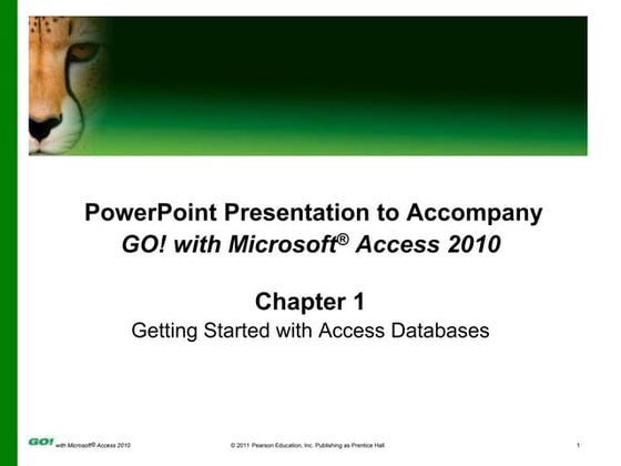 Ms access 2007 pptx | PDF Ms access 2007 pptx | PDF