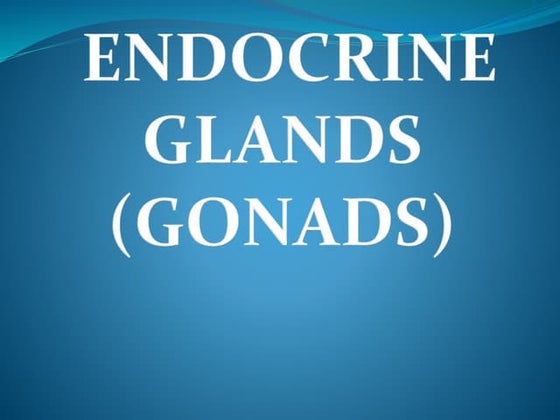 Endocrine Chart | PDF