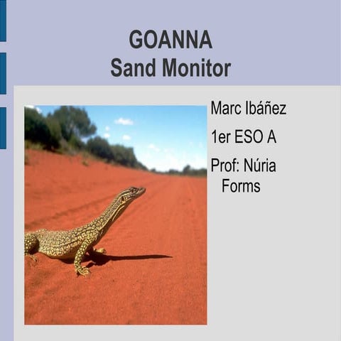 Goanna sand monitor 2 | ODP