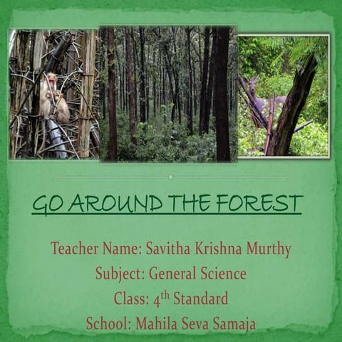 Go around the forest | PPT