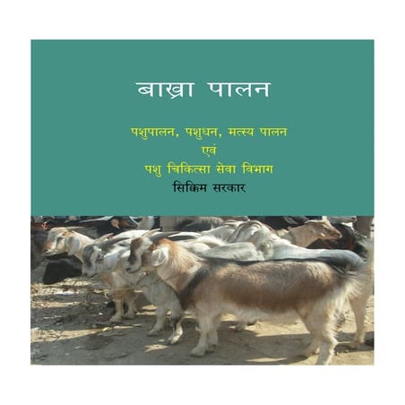 Bakhra Palan, by Himalayan Goat breeding farm. Gorkha Bungkot | PDF