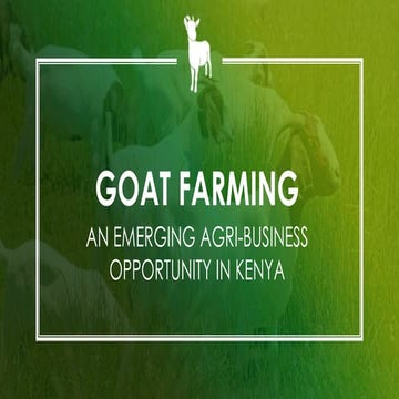 Goat Farming - Kenya.pptx