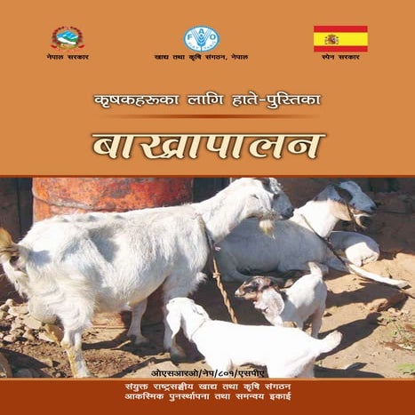 Goat Farming In Nepal | PDF