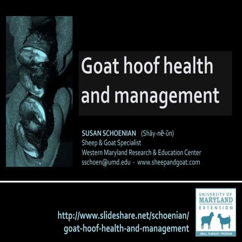 Goat hoof health and management | PPTX