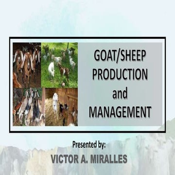Goat or Sheep Production and Management.pptx