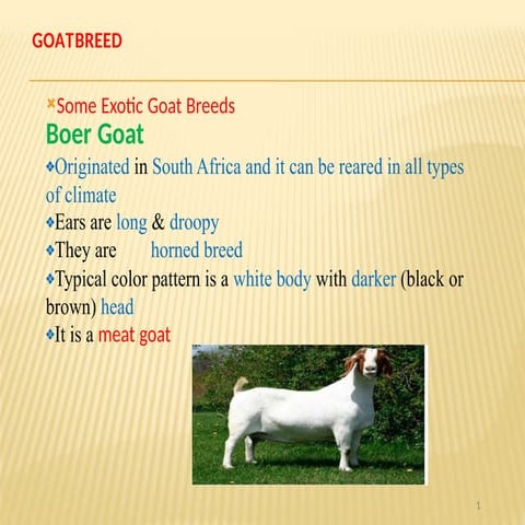 Goat produn system for students only.pptx