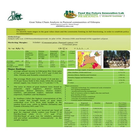 Goat Value Chain Analysis in Pastoral communities of Ethiopia | PDF