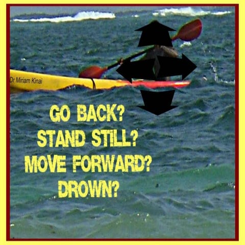 Go back? Stand Still? Move Forward? Drown? | PPTX