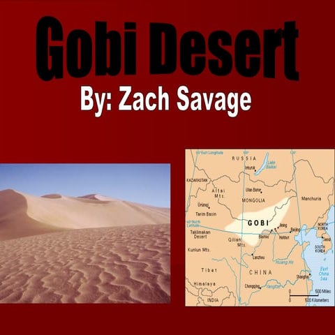 Gobi Desert | PPT