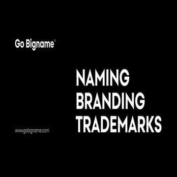 GoBigname portfolio and services | PDF