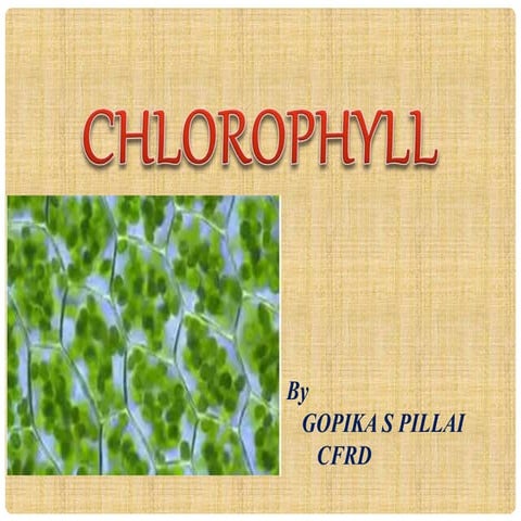 Go chlorophyll | PPT