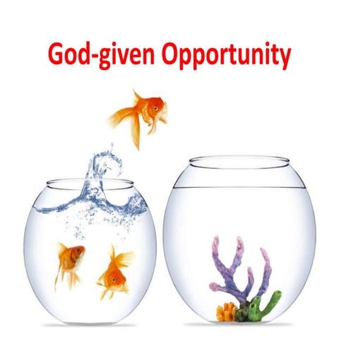 God given opportunities | PPTX