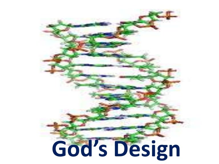 God's design