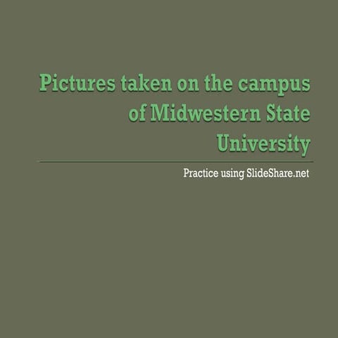 Msu pics.ppt