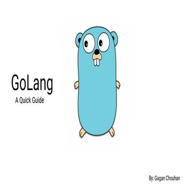 Introduction to Go programming language | PPT