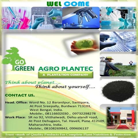 Exploring the Benefits of Organic Biostimulants in Plant Growth.pptx