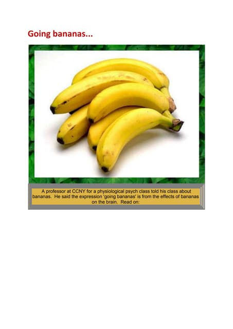 Recommendation Odder municipality | PDF