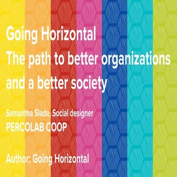 Going Horizontal: The path to better organizations and a better society ...