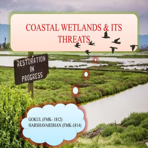 COASTAL WETLANDS AND ITS THREATS RESTORE | PPTX
