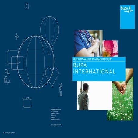 Bupa Oil And Gas Brochure | PDF