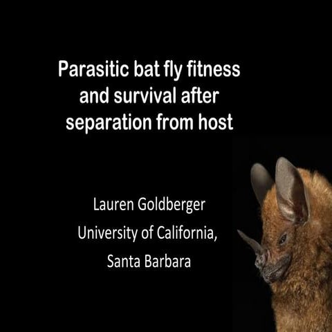 Parasitic bat fly fitness and survival after separation from host | PPT