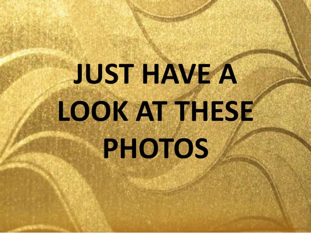 GEOMETRY IN SPIDERS WEB | PPTX