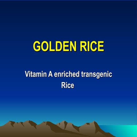Golden rice | PPT