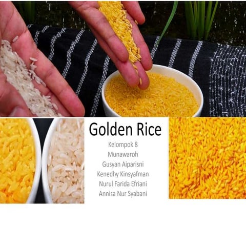 Golden rice | PPTX